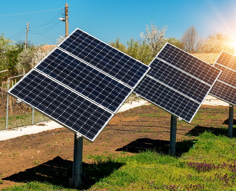 CAMPO – Solar Pompeia